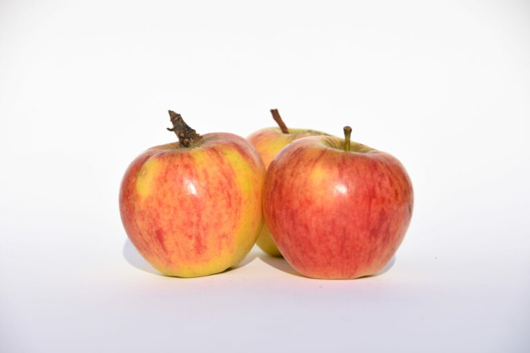 La pomme Elstar | Les Vergers de la Ménardière